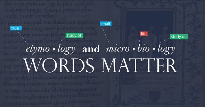 Etymology And Microbiology Words Matter